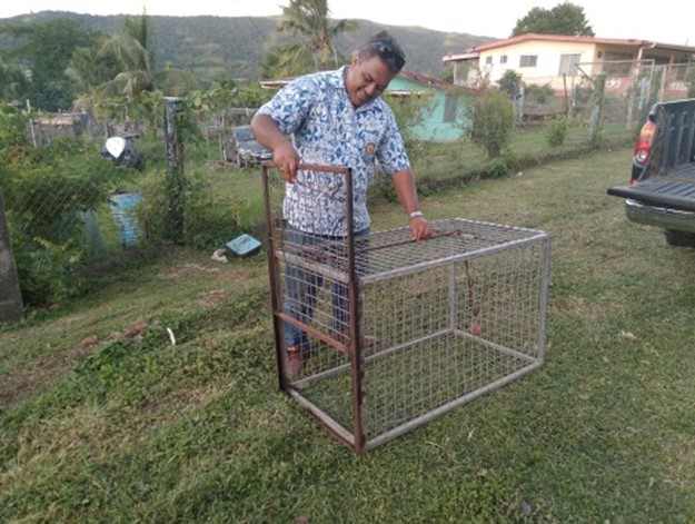 Dogs - Rakiraki Town Council